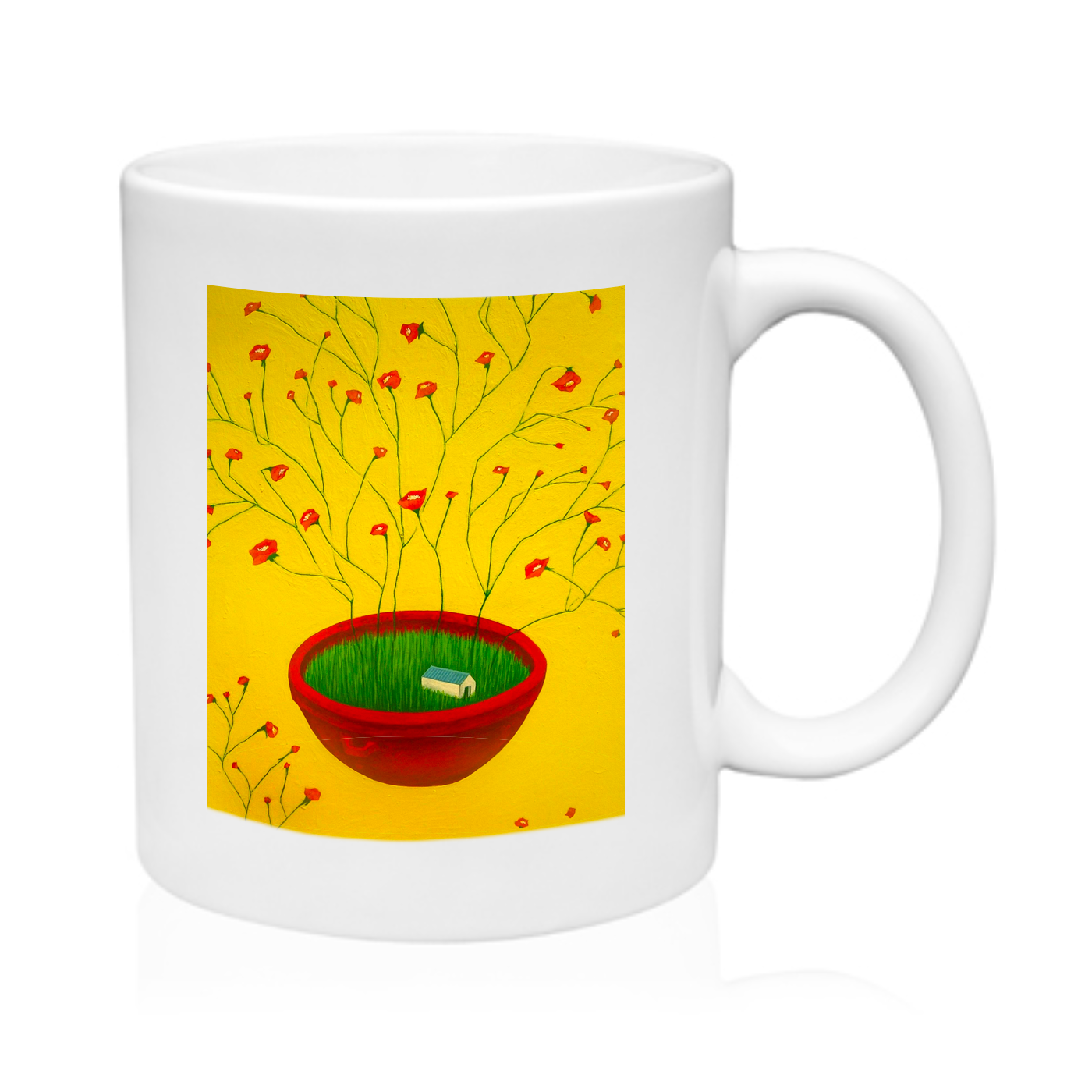 Gift & More – Kahee's Plants